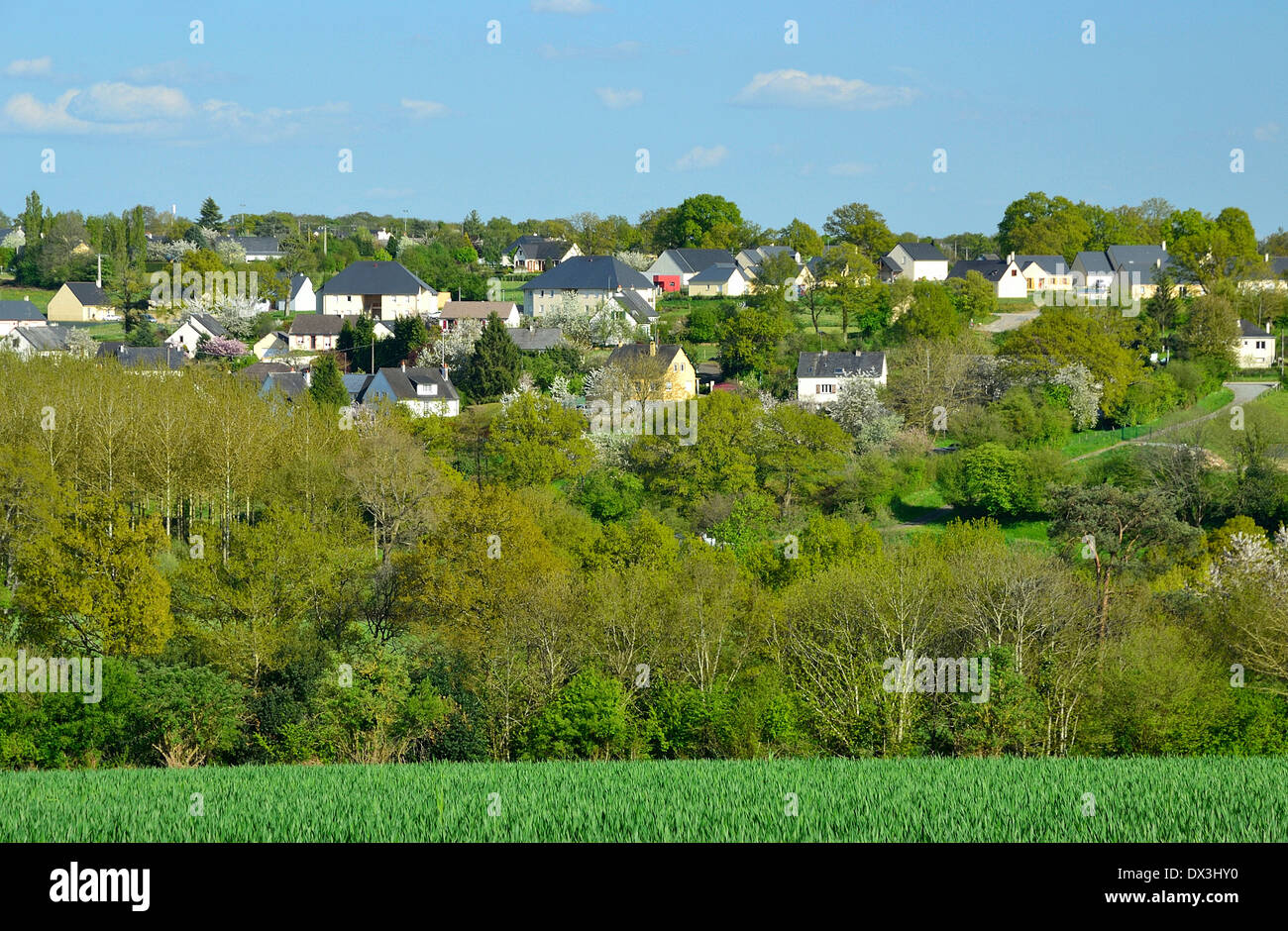 Bocage hedges and trees hi-res stock photography and images - Alamy