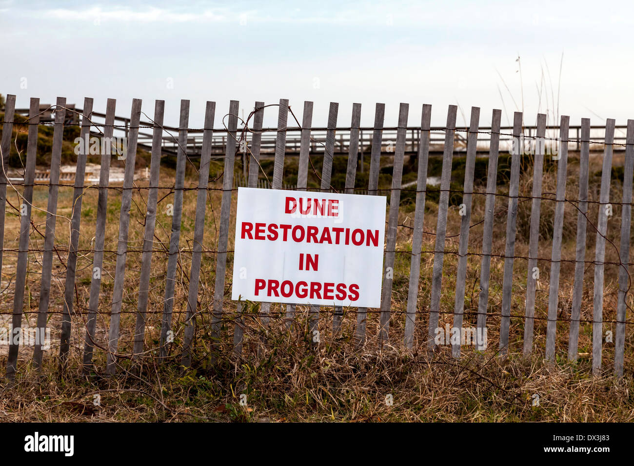 Dune restoration in progress sign posted on fence on Fernandina Beach ...