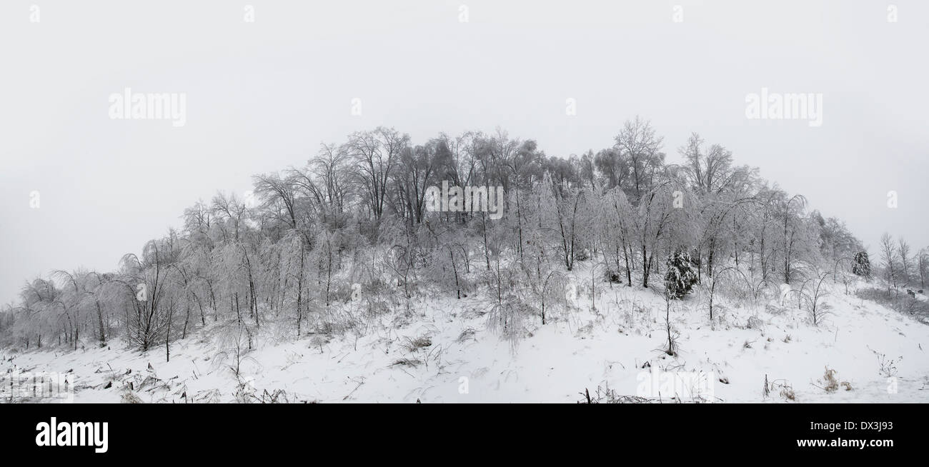 Snow Covered Hill Panoramic Stock Photo - Alamy
