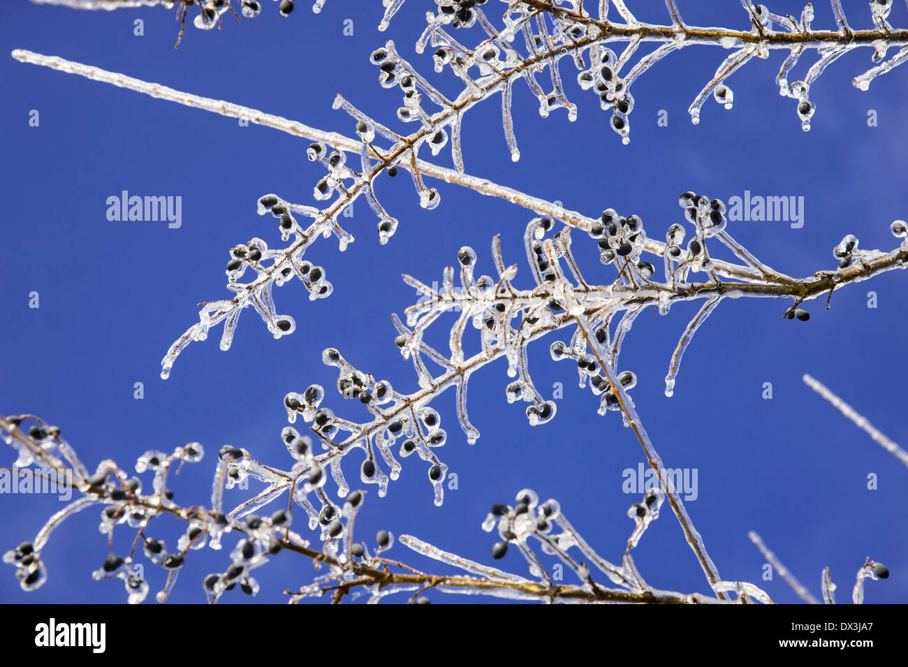 Picturesque iced hi-res stock photography and images - Alamy