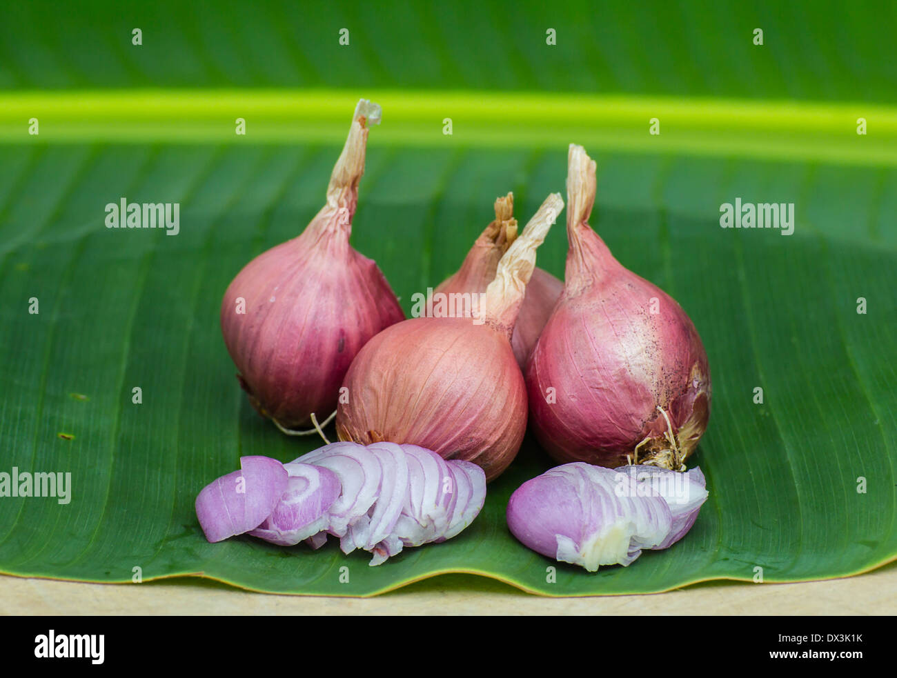 Shallot hi-res stock photography and images - Alamy