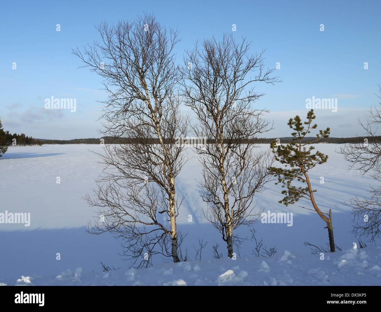 lake in northern finland, finland Stock Photo - Alamy