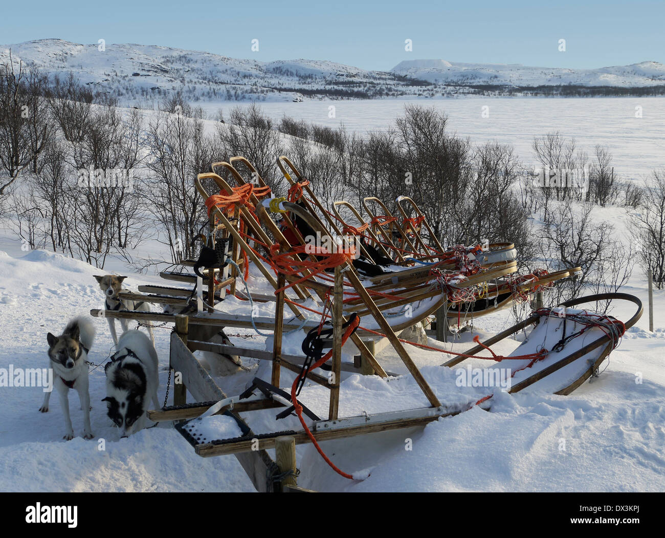 Dog sledges hi-res stock photography and images - Alamy