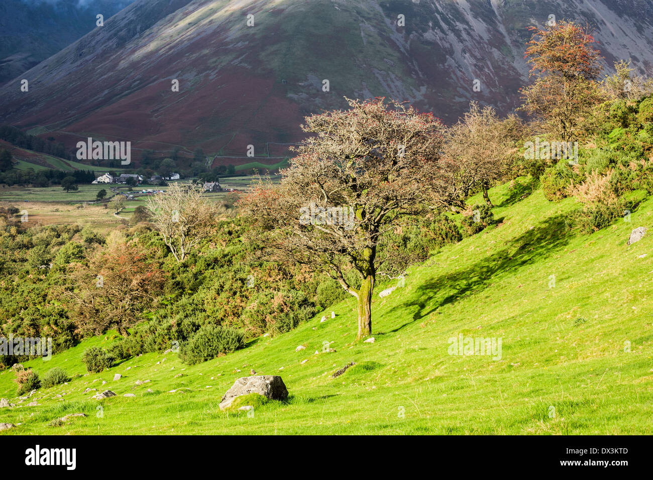 Wasdale head hi-res stock photography and images - Alamy
