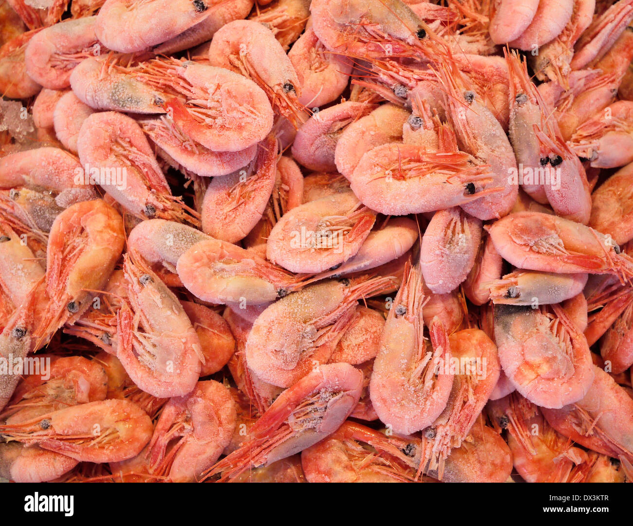 Shrimp shrimps prawn prawns hi-res stock photography and images - Alamy