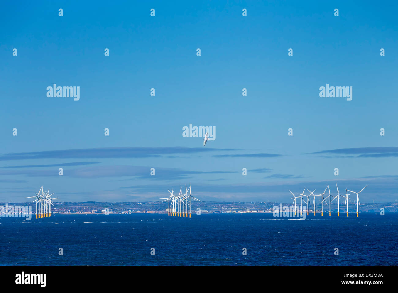 Teesside offshore Wind farm near Redcar from Saltburn pier, North ...