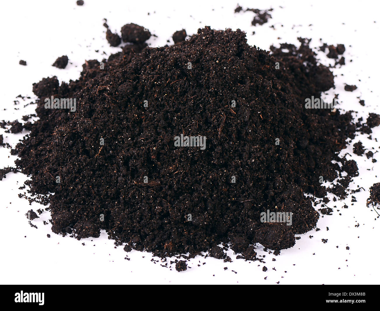 Black ground closeup isolated on white background Stock Photo - Alamy