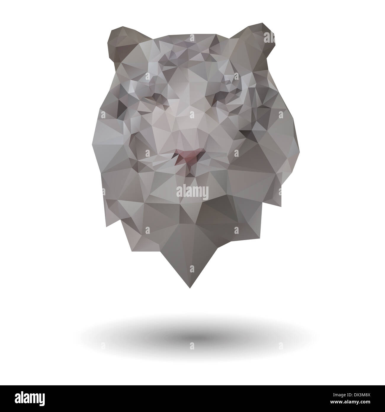 Tumblr Triangle Tiger