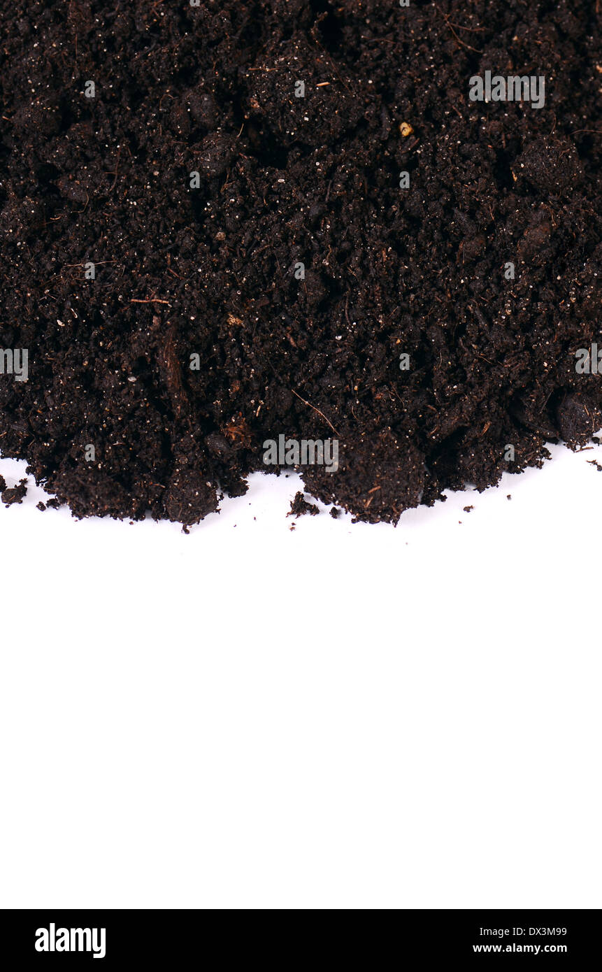 Black ground closeup isolated on white background Stock Photo - Alamy