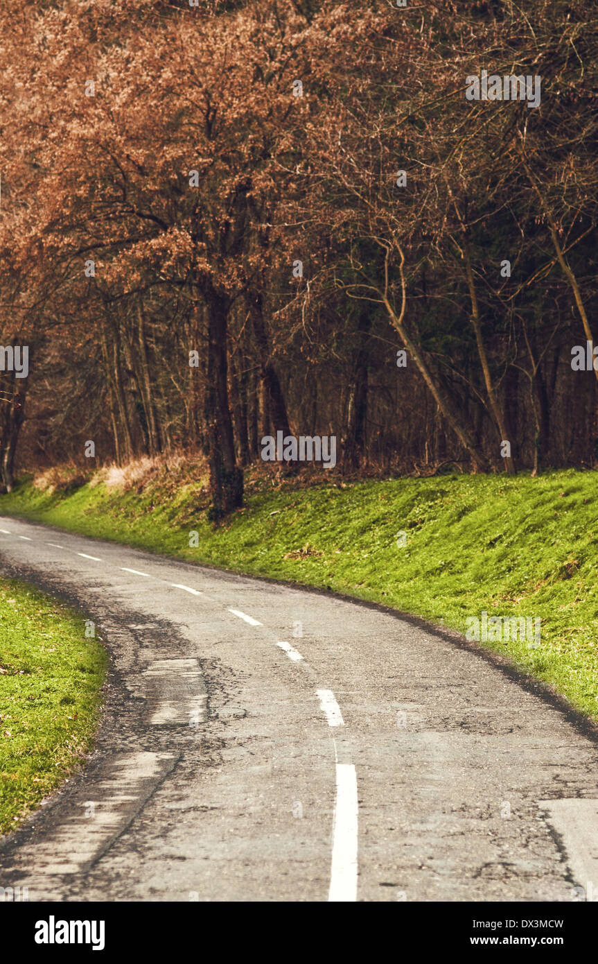 Winding road forest hi-res stock photography and images - Alamy