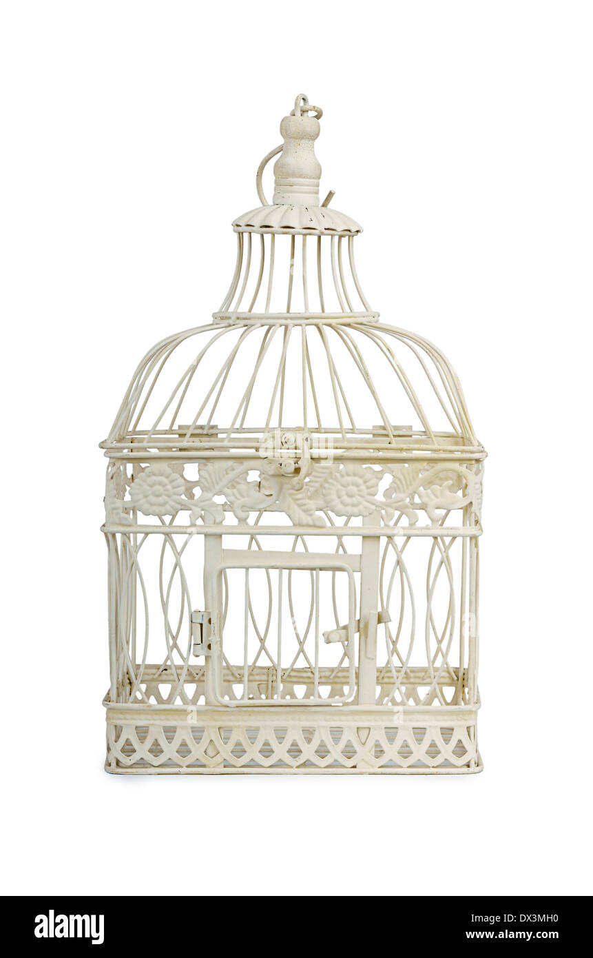 Beautiful cage with birds isolated on white Stock Photo - Alamy