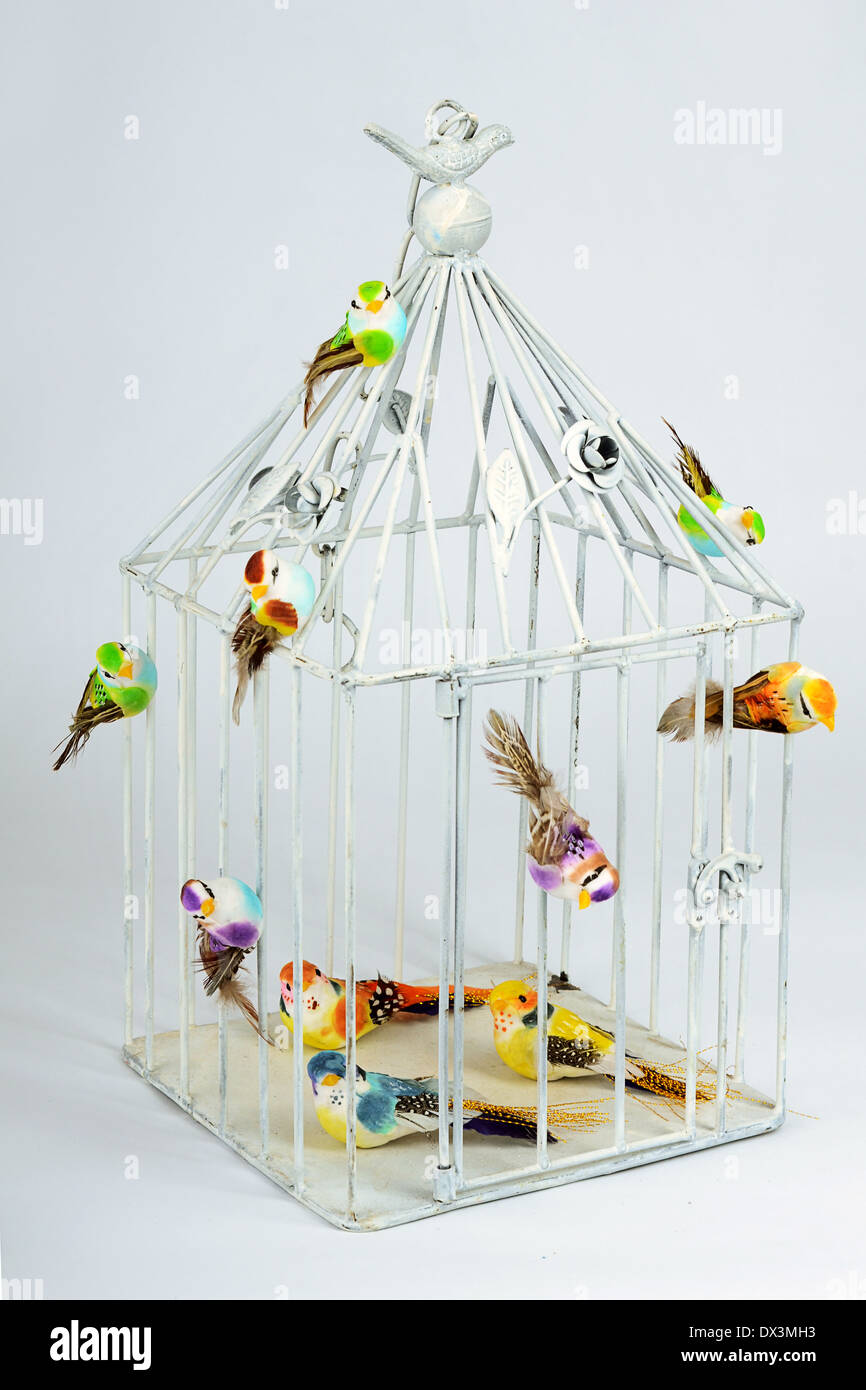 Beautiful cage with birds on grey background Stock Photo - Alamy