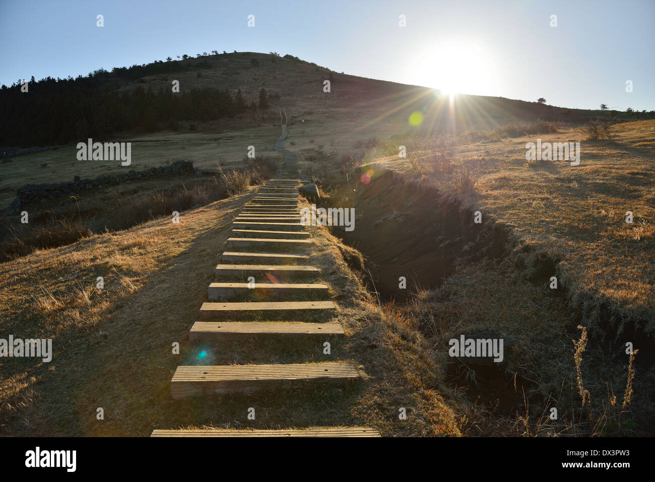 Wooden Stairs to the Baekyaki volcanic cone in Jeju island Stock Photo ...