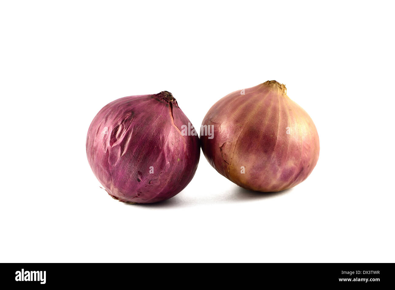 Onion close up Cut Out Stock Images & Pictures - Alamy
