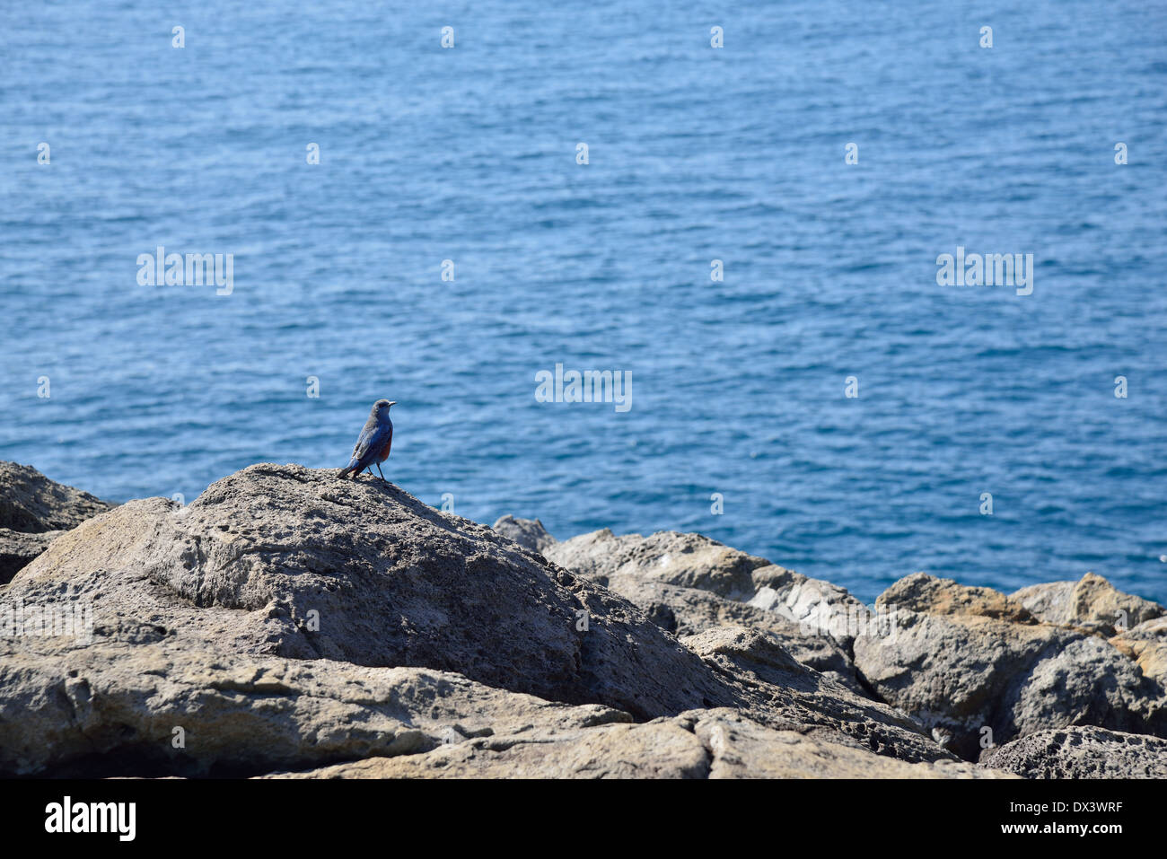 Rocks on blue sea hi-res stock photography and images - Alamy