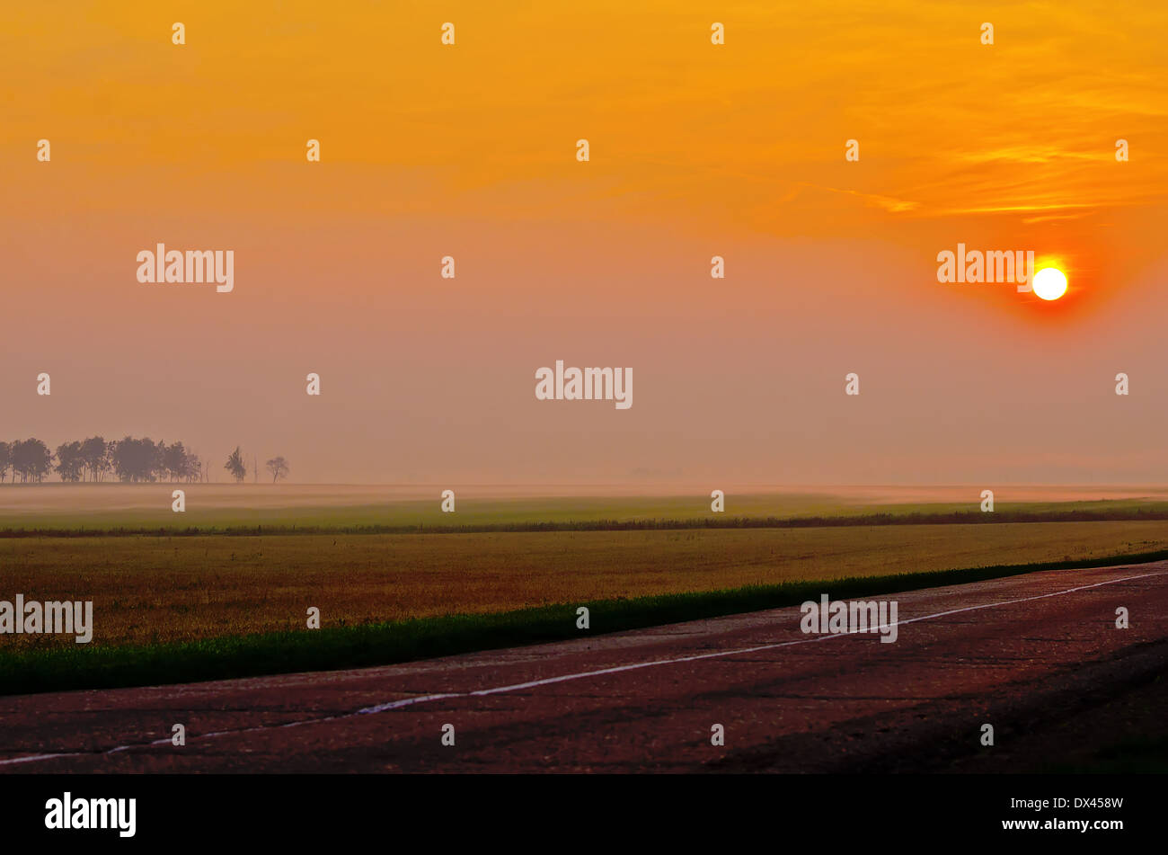 Sun, orange sky, field, silhouettes of trees in the fog, the highway at ...