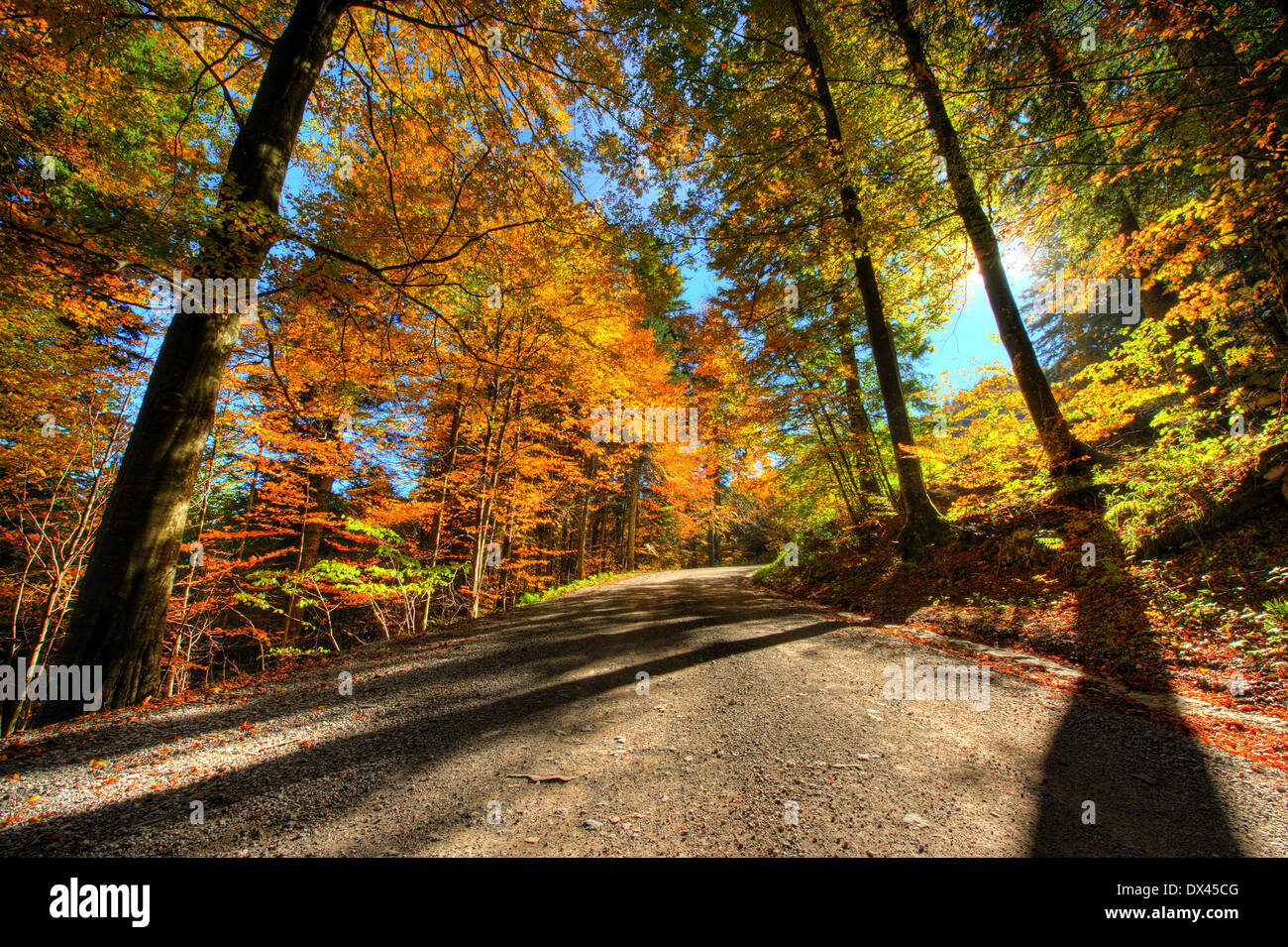 Vibrant colors hi-res stock photography and images - Alamy