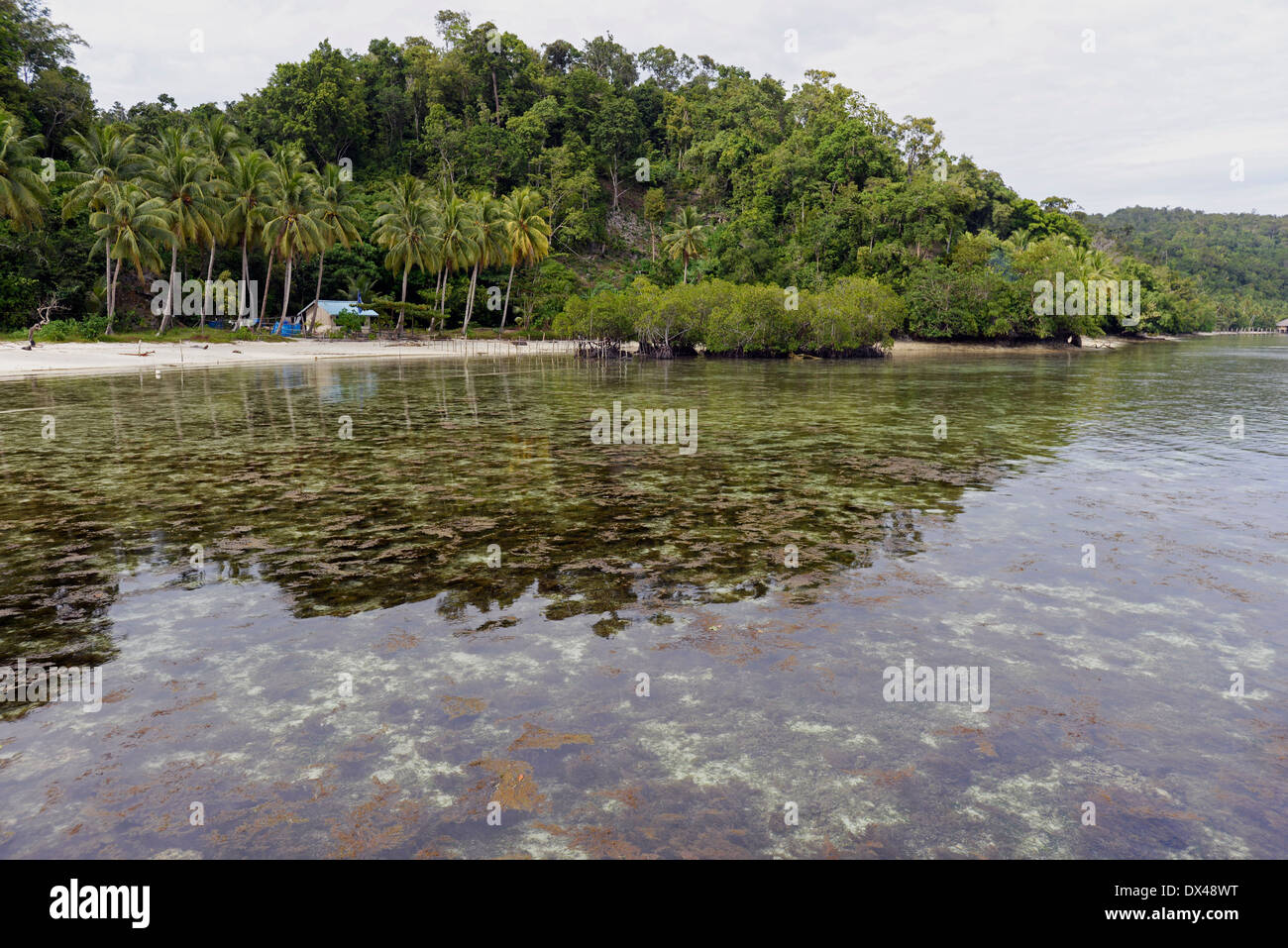Scenic view of Gam Island Raja Ampat Indonesia Stock Photo - Alamy