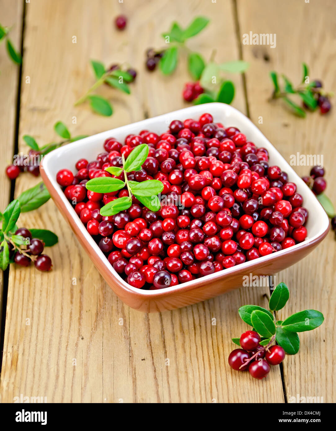 Ripe red lingonberries in a bowl with a sprig of berries and leaves on ...