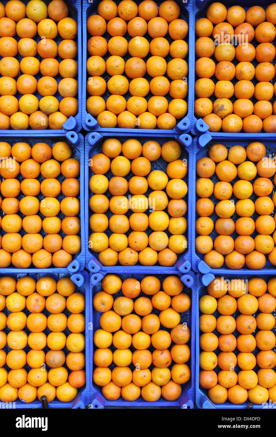 Row of oranges hi-res stock photography and images - Alamy