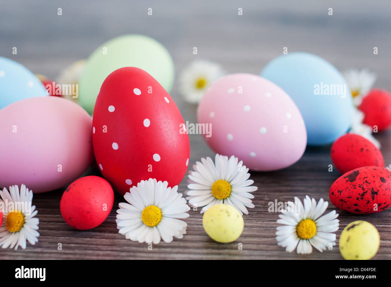 Different color Easter egg on an old wood Stock Photo - Alamy