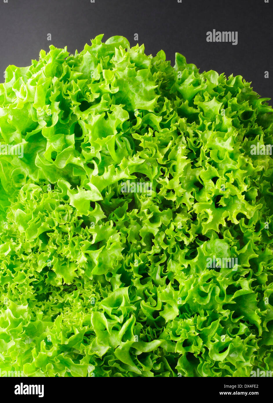 Heads of lettuce hi-res stock photography and images - Alamy