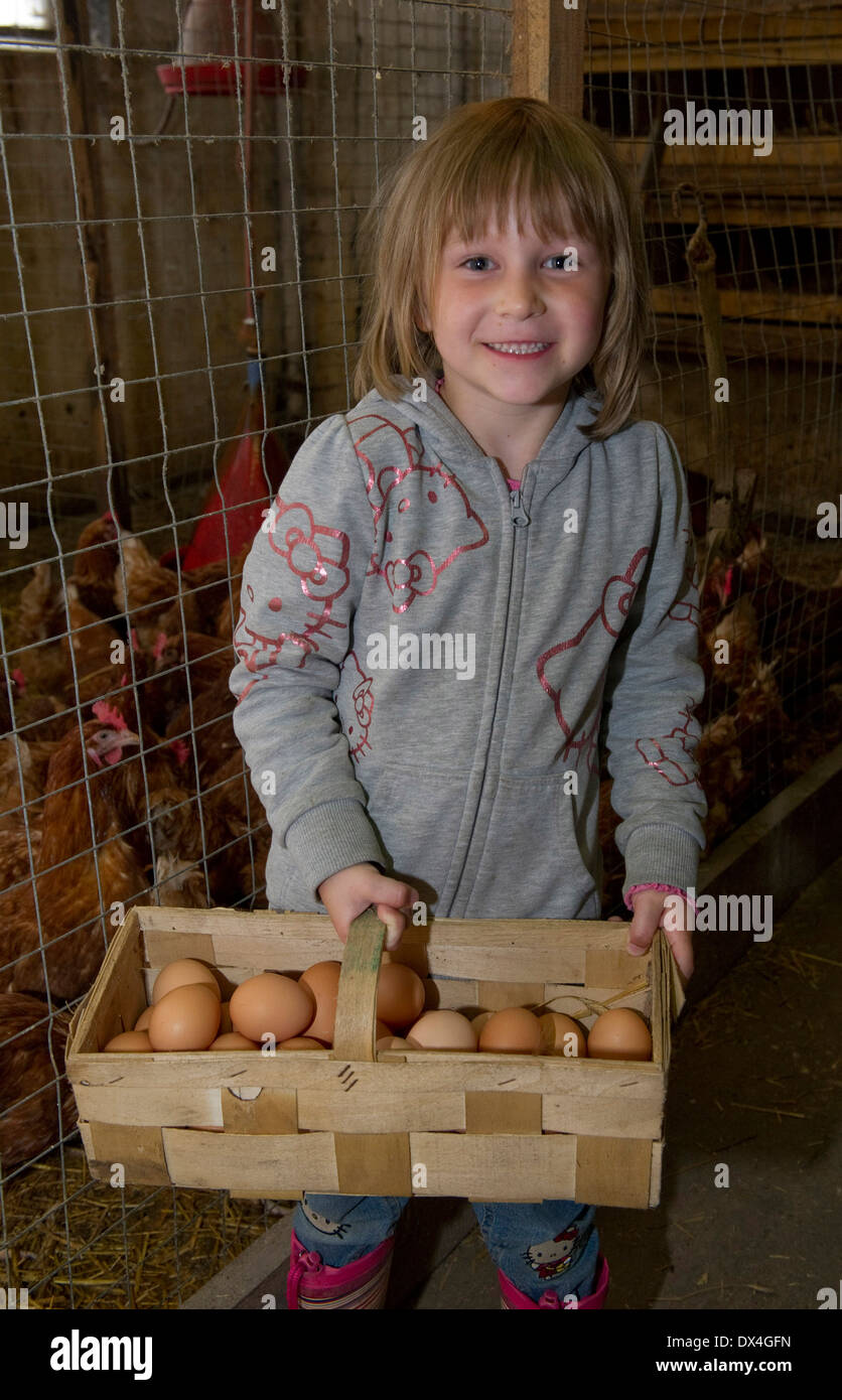 Laying hen husbandry hi-res stock photography and images - Alamy