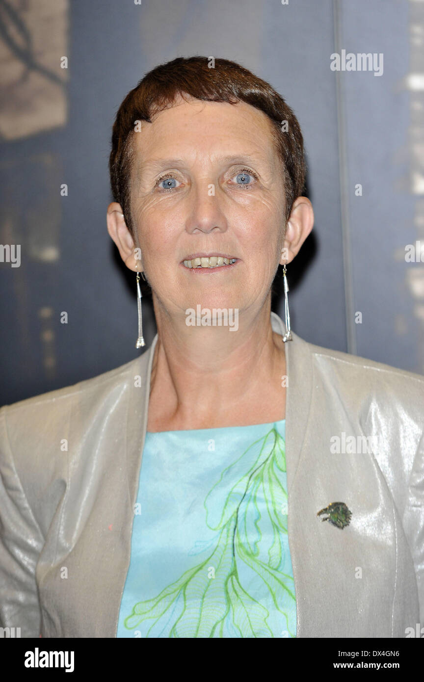 Ann Cleeves, at the Specsavers Crime thriller Awards 2012 held at the ...
