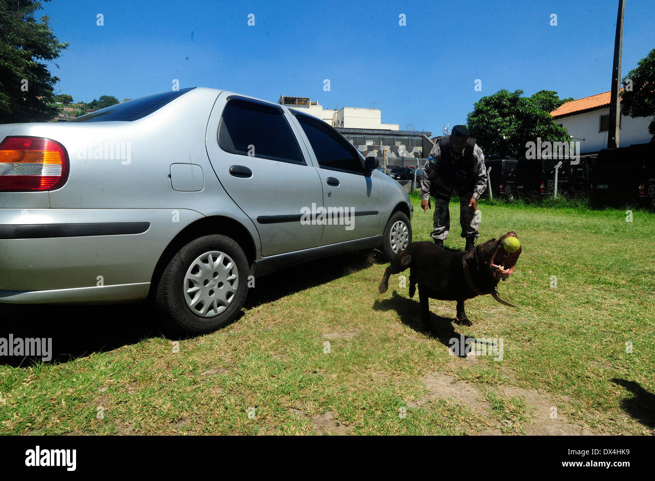 Rio de Janeiro, Brazil. 17 March 2014. Training of dog sniffers in the ...
