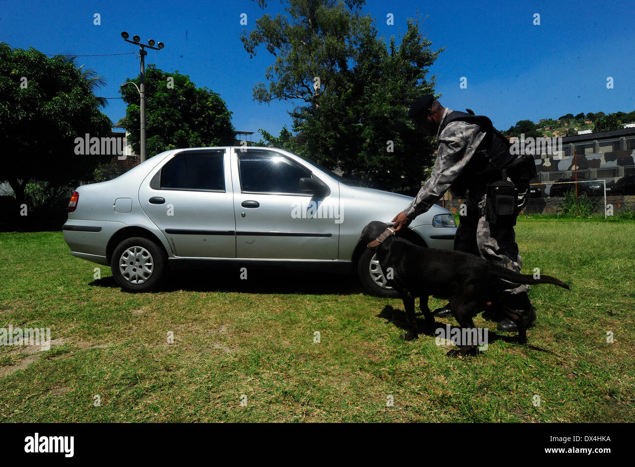 Rio de Janeiro, Brazil. 17 March 2014. Training of dog sniffers in the ...