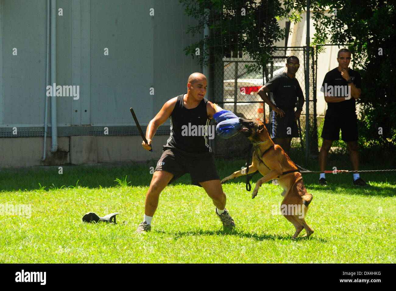 Rio police dog hi-res stock photography and images - Alamy