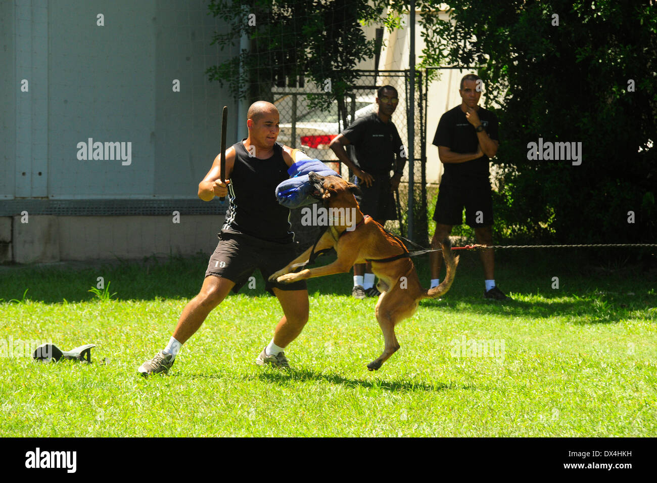 Rio de Janeiro, Brazil. 17 March 2014. Training of dog sniffers in the ...