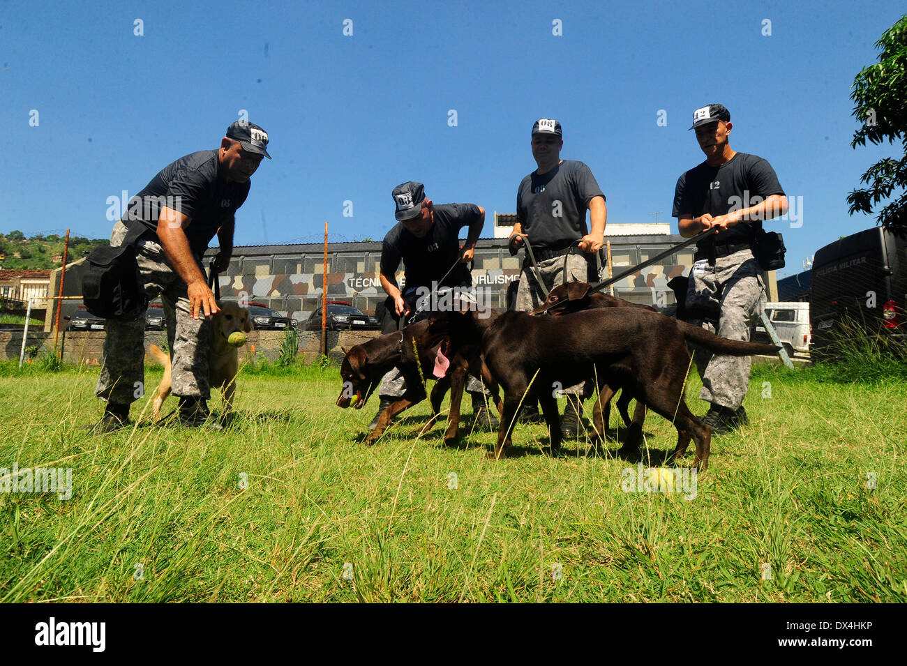 Rio de Janeiro, Brazil. 17 March 2014. Training of dog sniffers in the ...