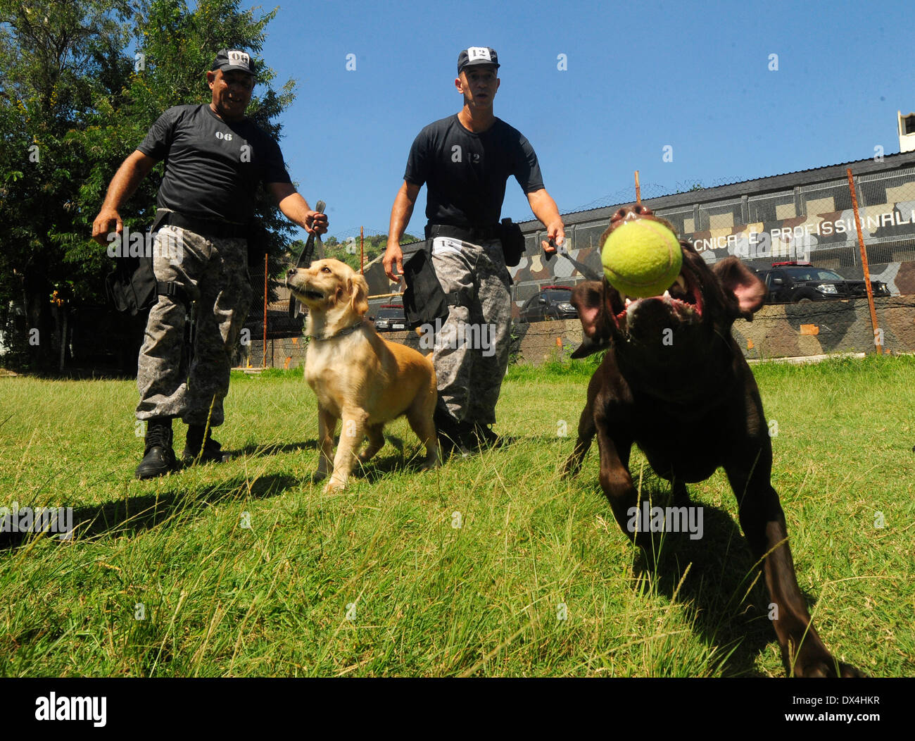 Rio police dog hi-res stock photography and images - Alamy