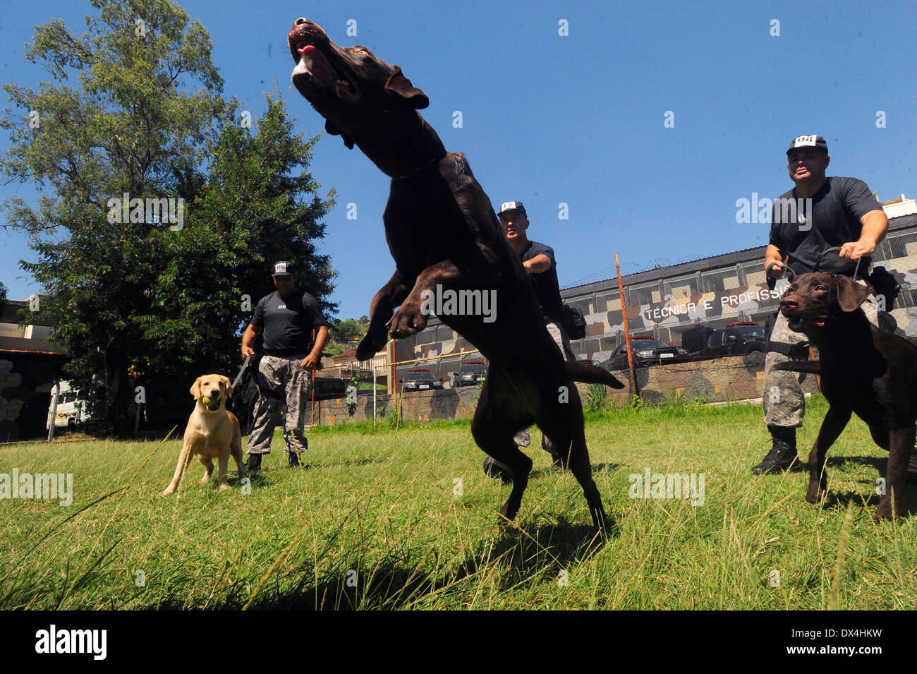 Rio police dog hi-res stock photography and images - Alamy