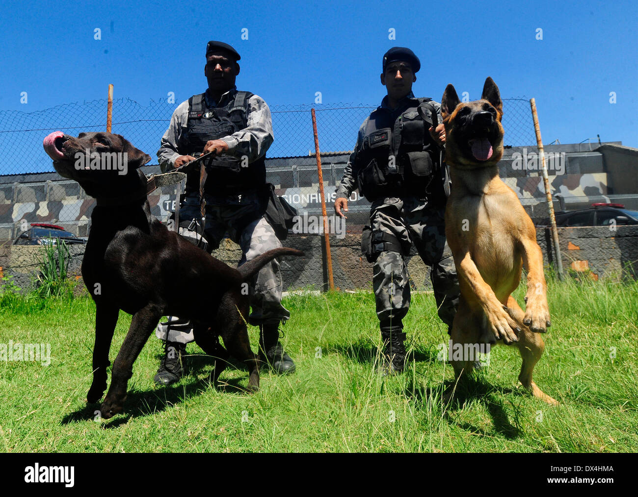 Rio police dog hi-res stock photography and images - Alamy