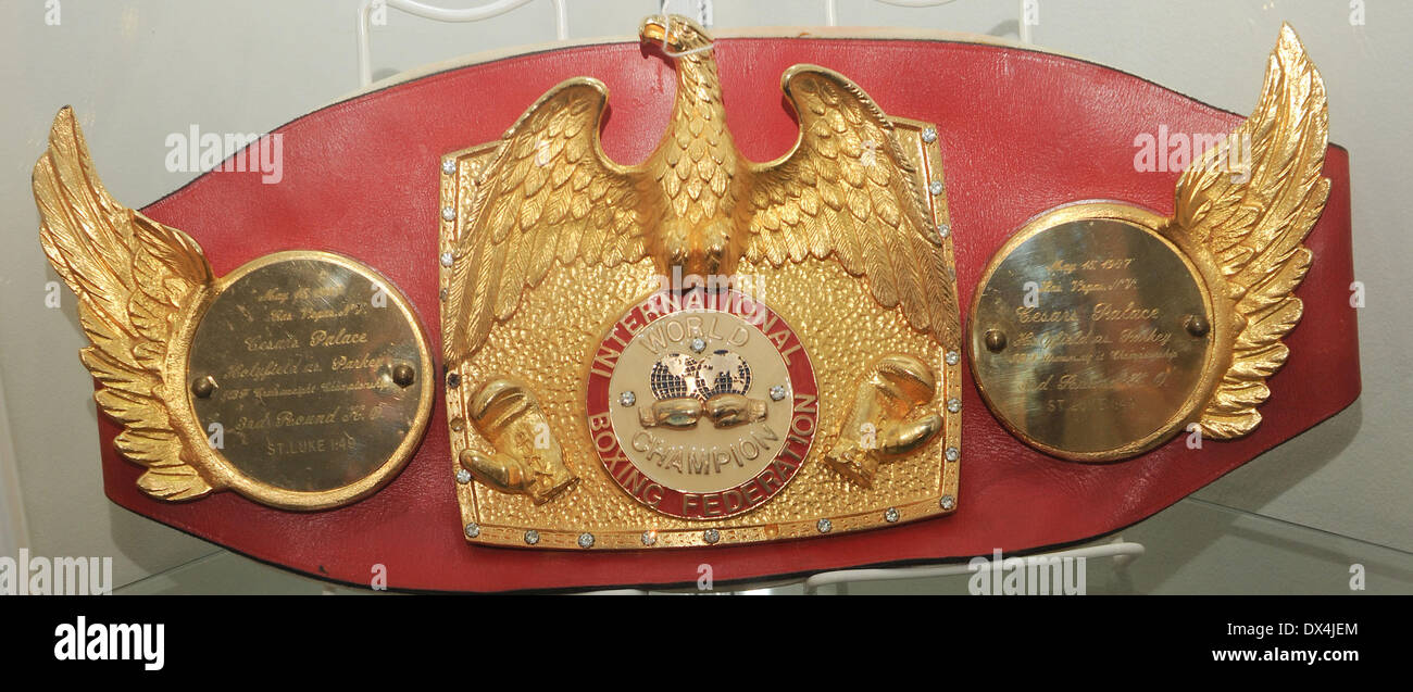 Atmosphere Evander Holyfield's official 50th birthday celebration and ...