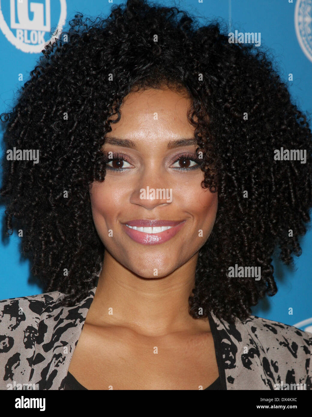 Annie Ilonzeh Qubeeys Chris Brown channel launch at a private residence ...