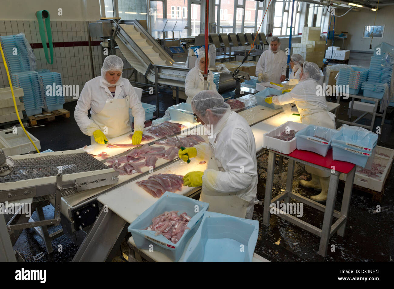 Fish processing center hi-res stock photography and images - Alamy