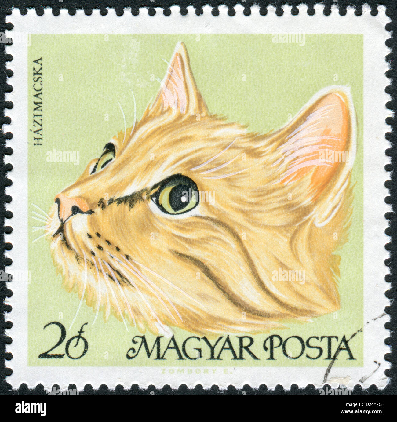 HUNGARY - CIRCA 1968: Postage stamp printed in Hungary shows a cat ...