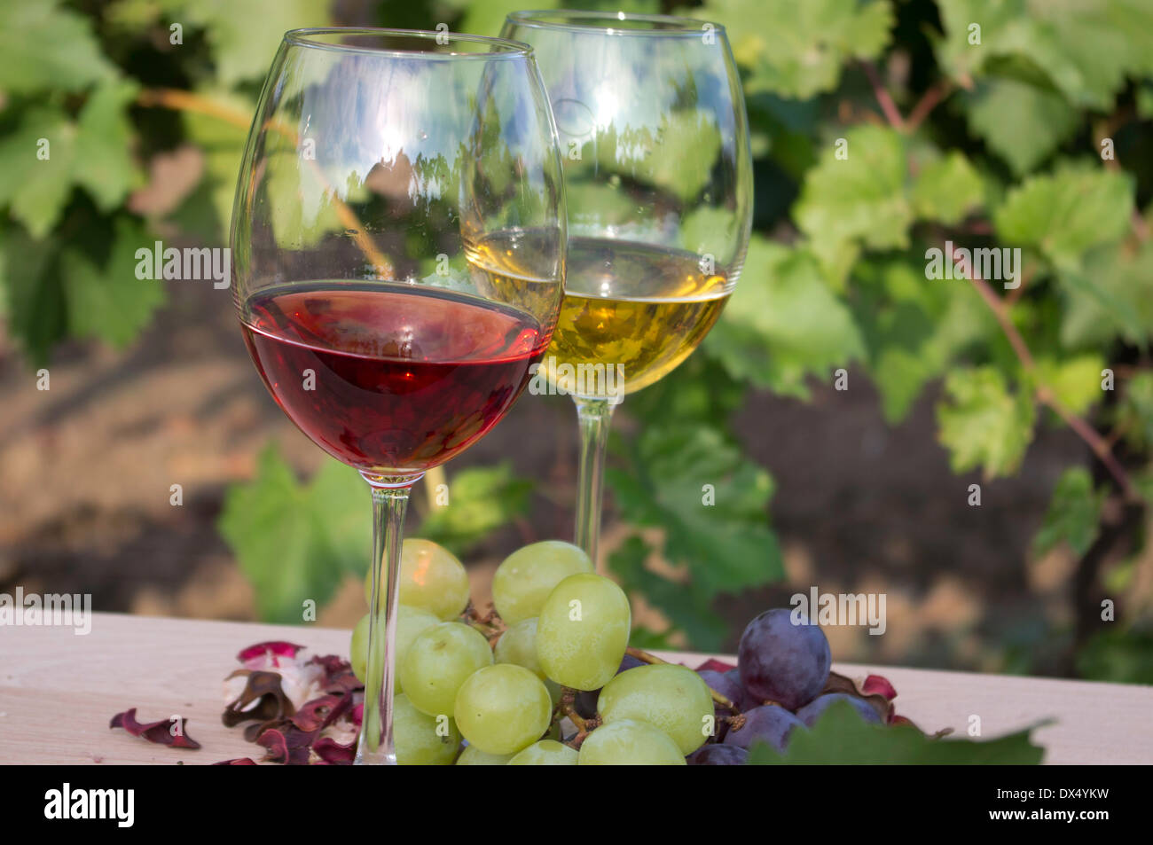 Red and white wines Stock Photo - Alamy