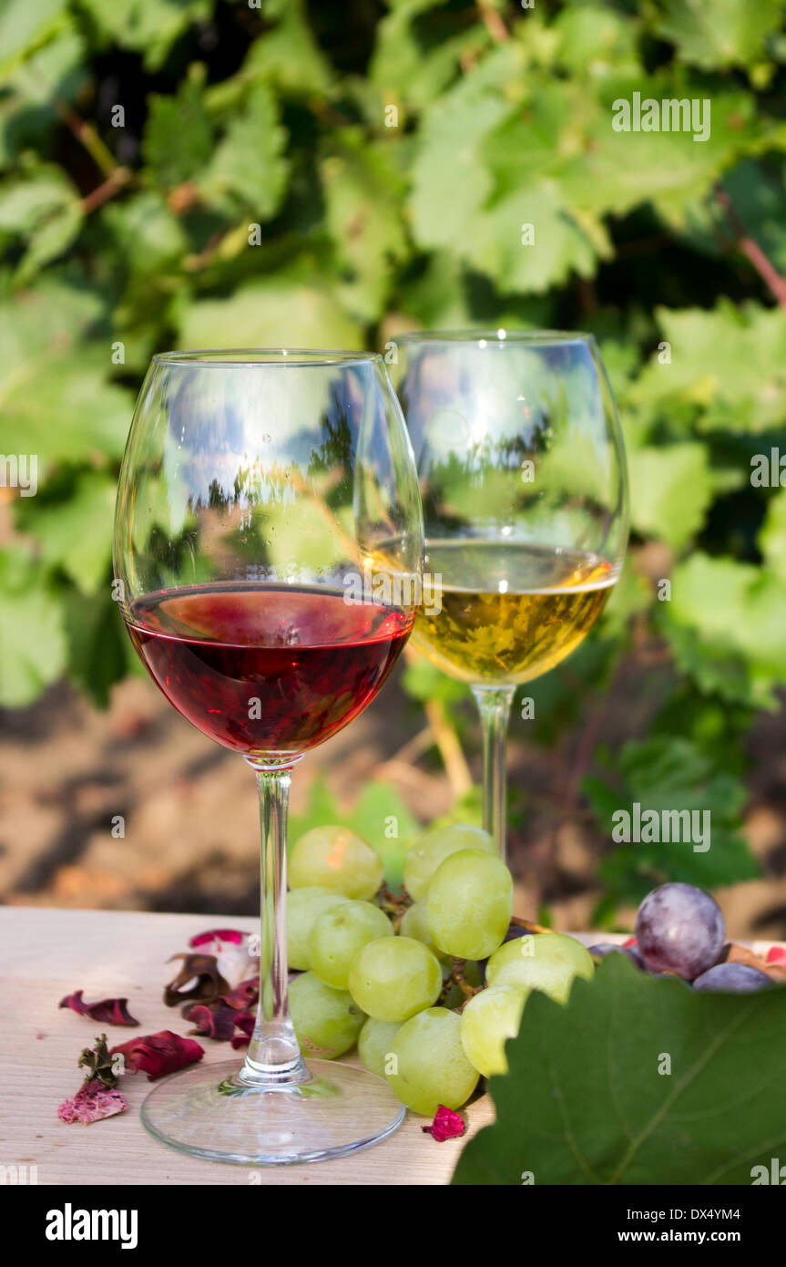 Red White And Rose Wines High Resolution Stock Photography and Images ...