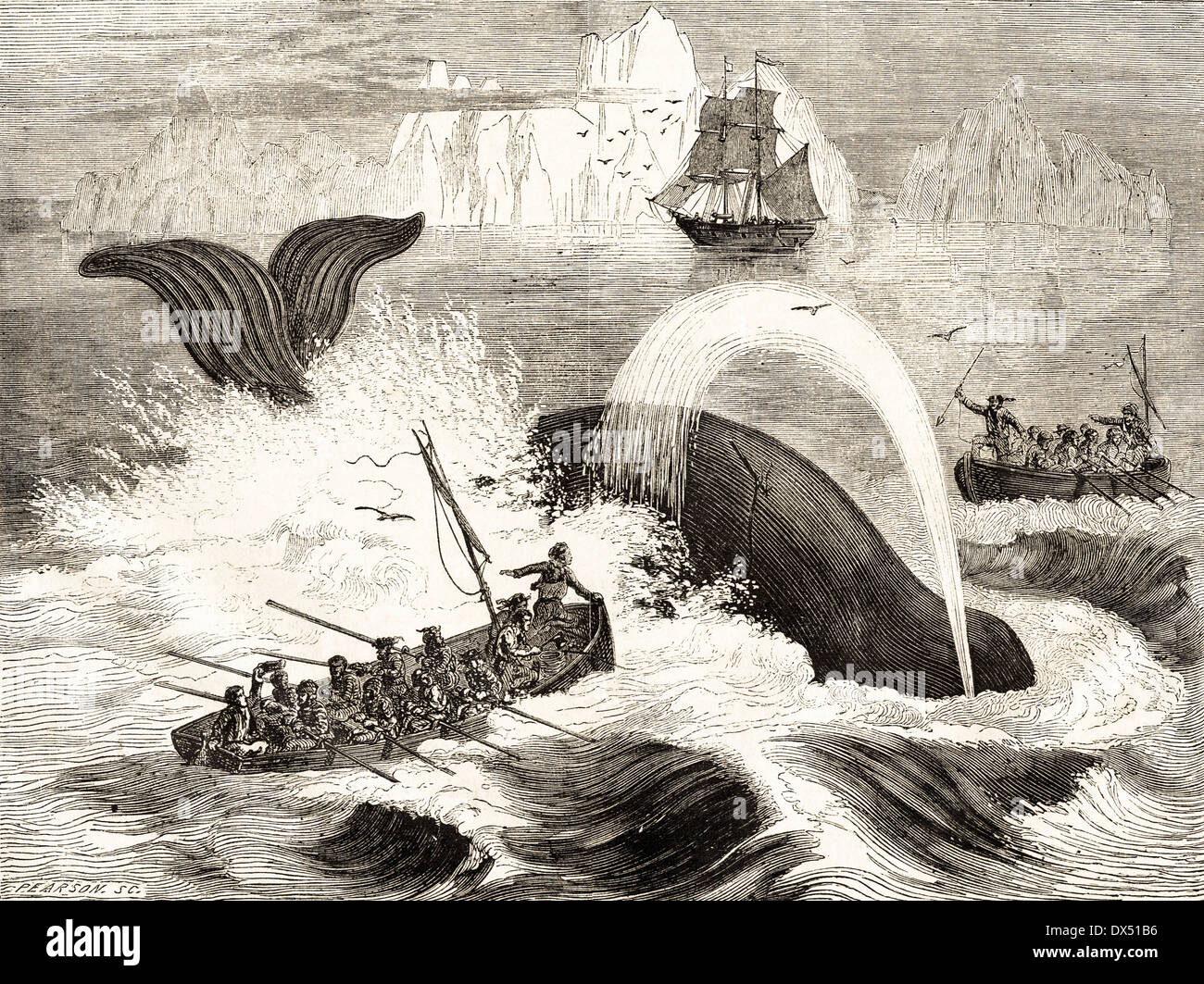 Whaling ship 19th century hi-res stock photography and images - Alamy