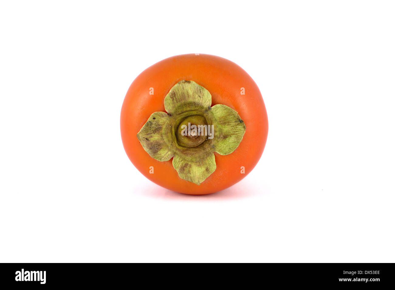 Top view of persimmon isolated on white background Stock Photo - Alamy