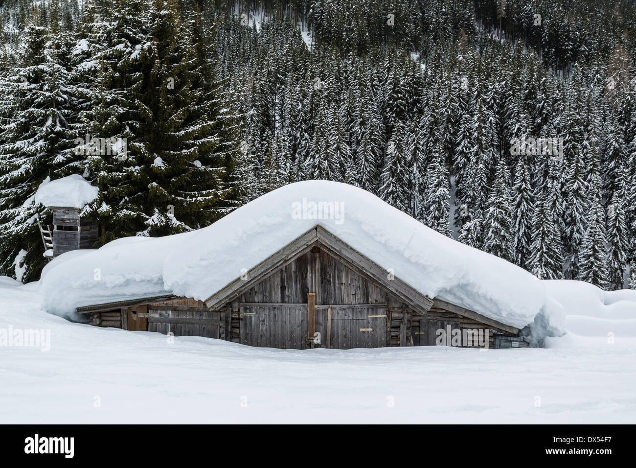 Snow-covered log cabin, Obertilliach valley, East Tyrol, Austria Stock ...