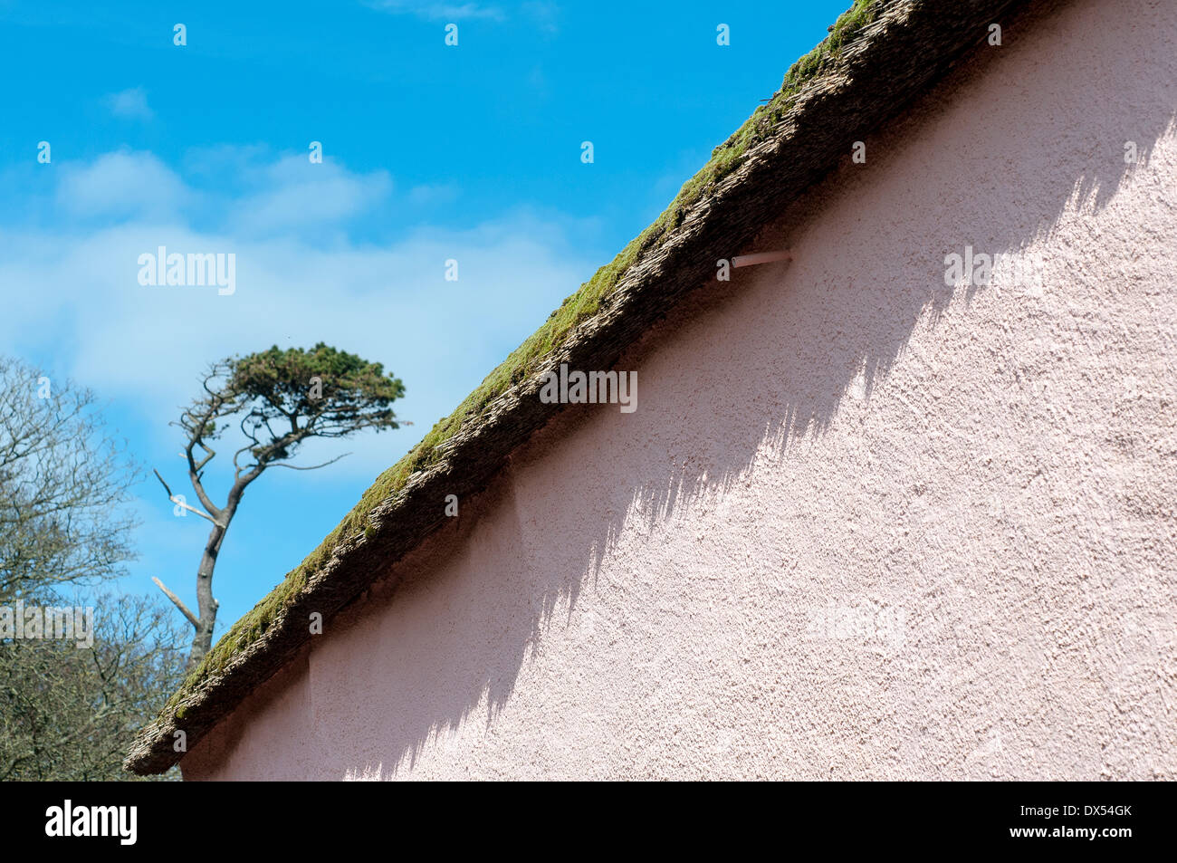 green thatch,cob and thatch,devon,cottage, old, thatched, roof, thatch ...