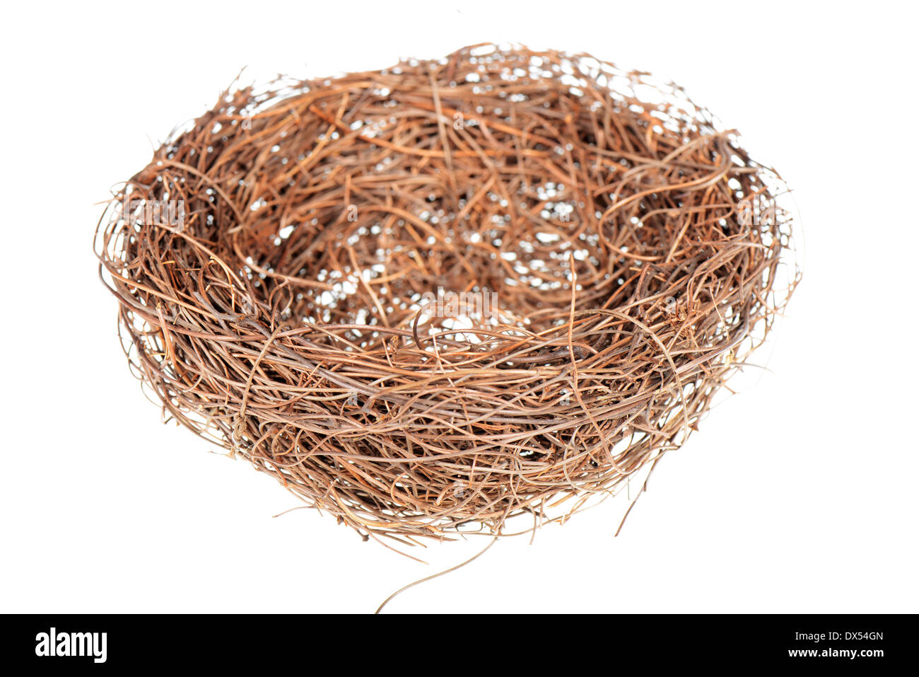 Bird's nest isolated on a white background Stock Photo - Alamy
