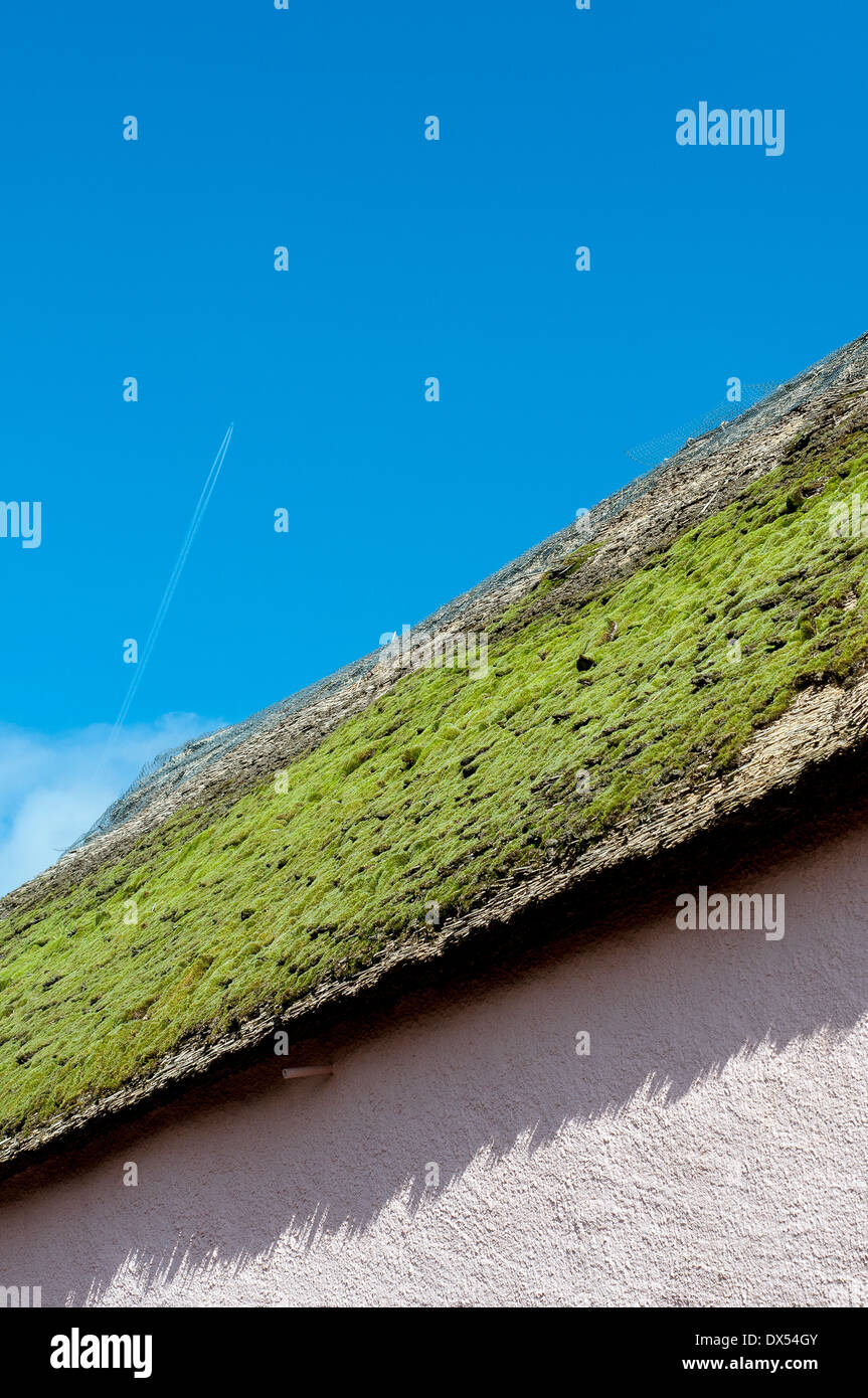 green thatch,cob and thatch,devon,green thatch,cob and thatch,devon ...