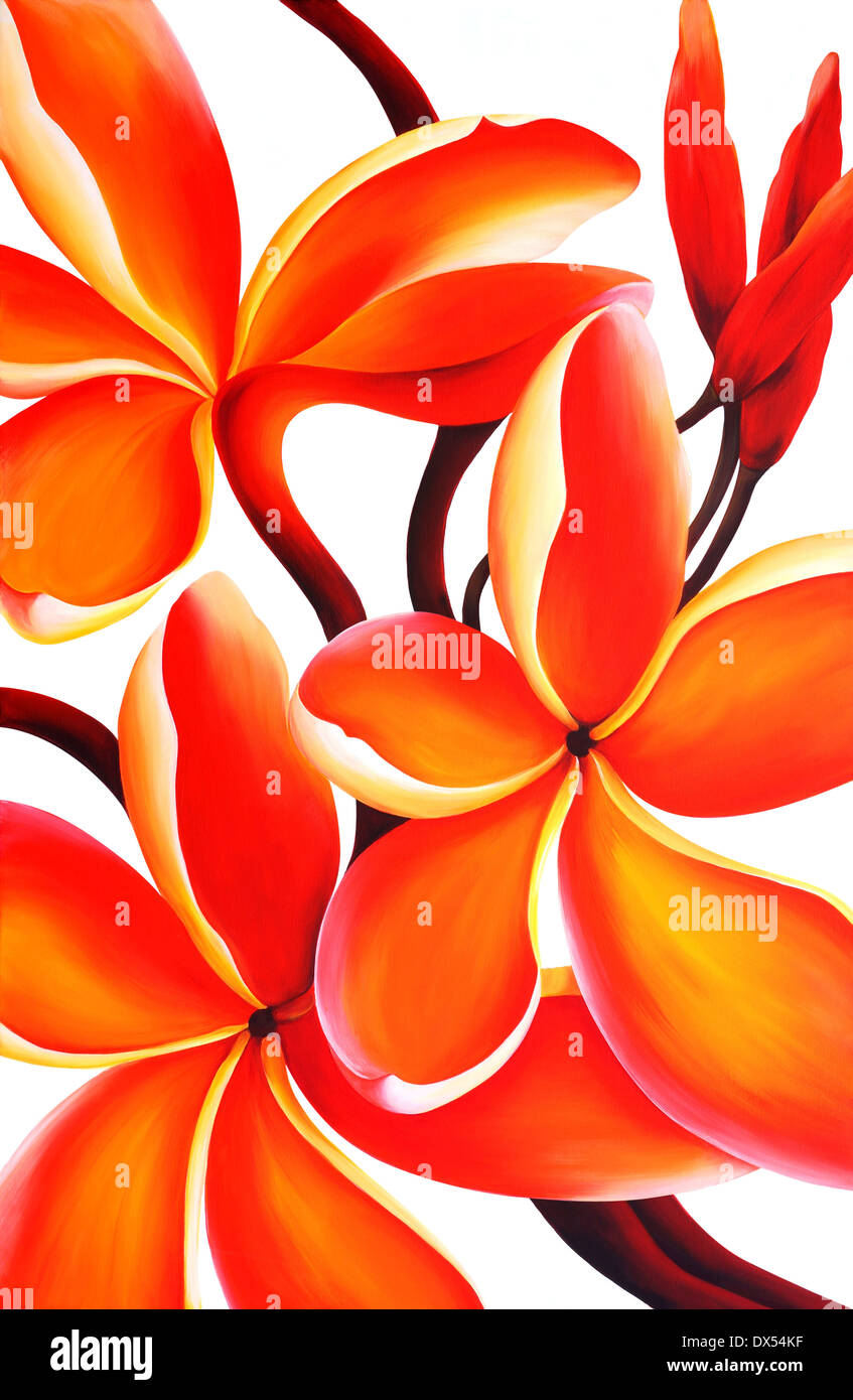 Acrylic painting of Frangipani, fine art painting Stock Photo - Alamy