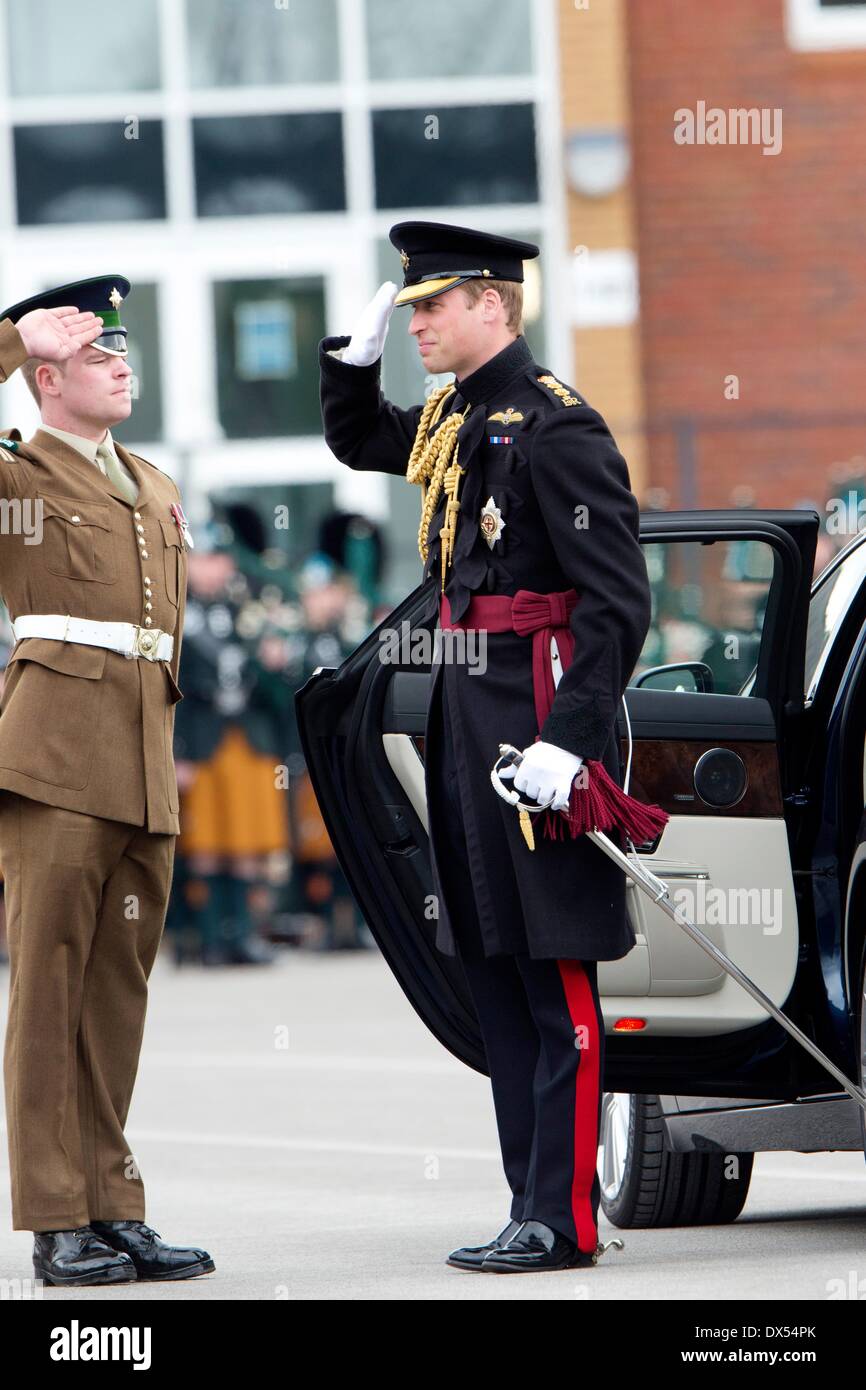 Officers Of The Irish Guards Stock Photos & Officers Of The Irish ...